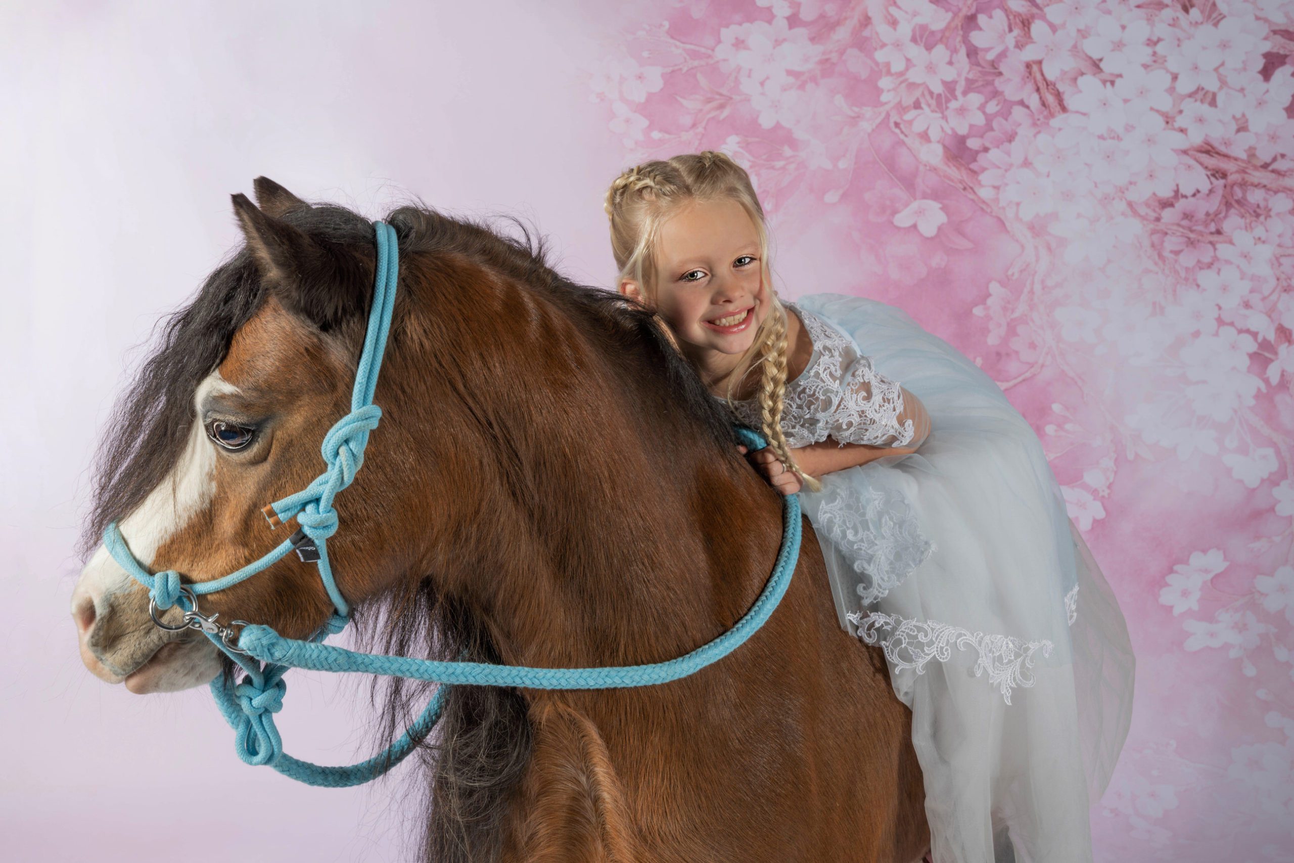 fotoshoot pony in studio - Elisabeth Fotografie Friesland Drenthe ...